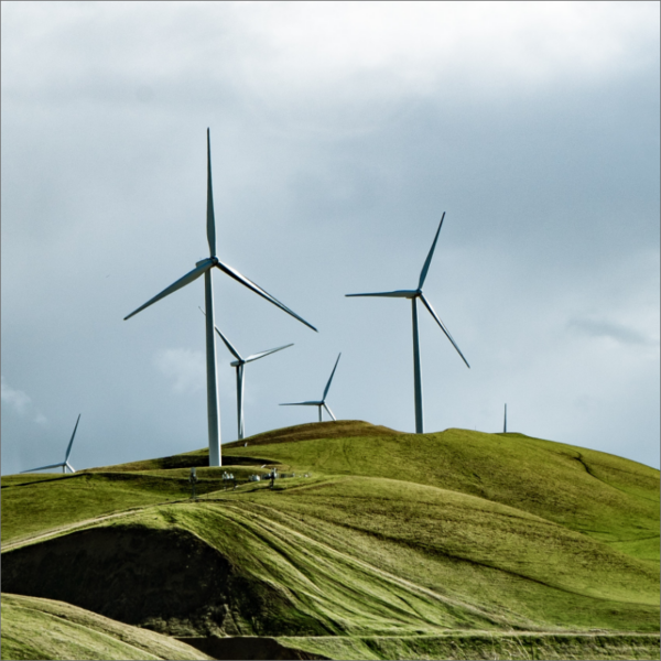 Wind Energy: Everything You Need To Know | myenergi IE ⚡️