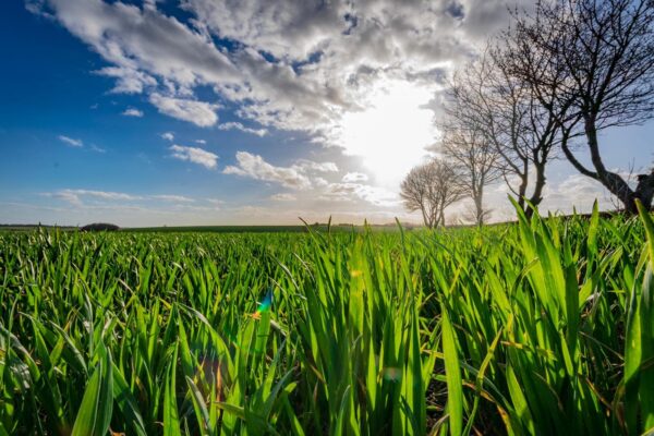 Our List of Green Energy Suppliers in the UK | myenergi GB